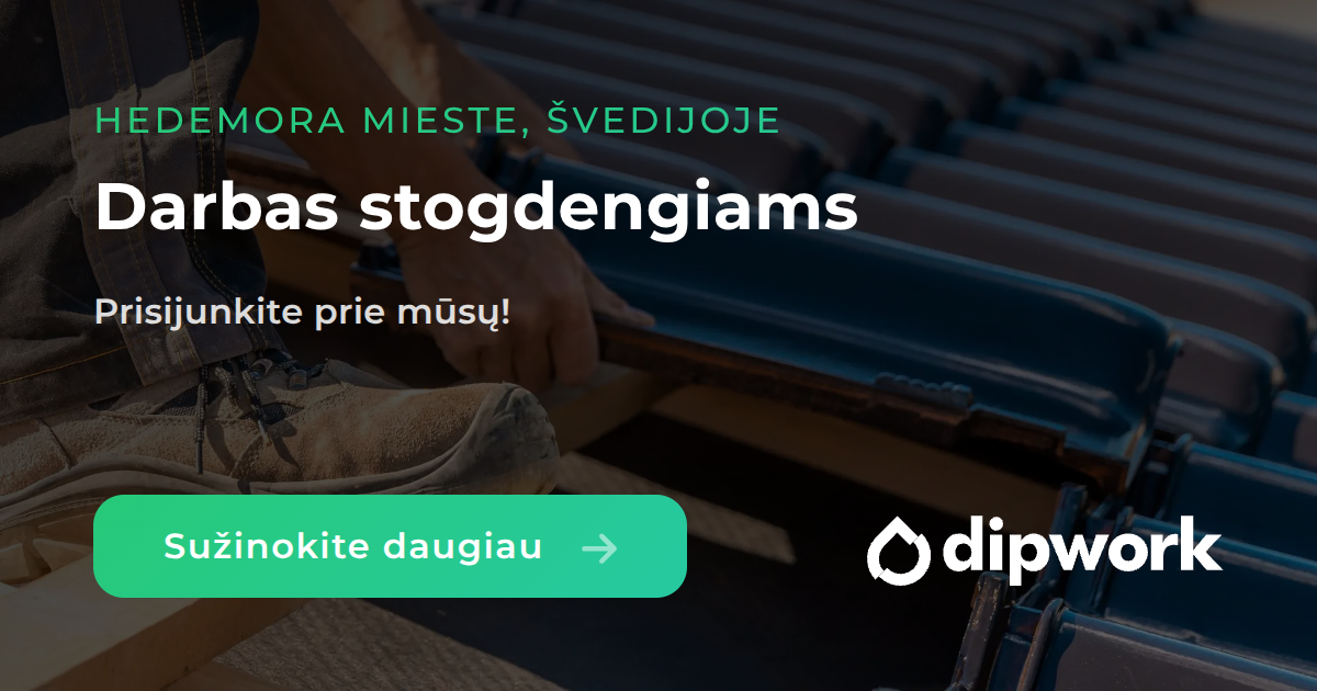 Darbas stogdengiams Hedemora mieste, Švedijoje | Dipwork