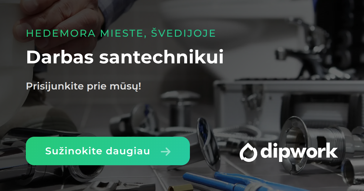 Darbas santechnikui Hedemora mieste, Švedijoje | Dipwork